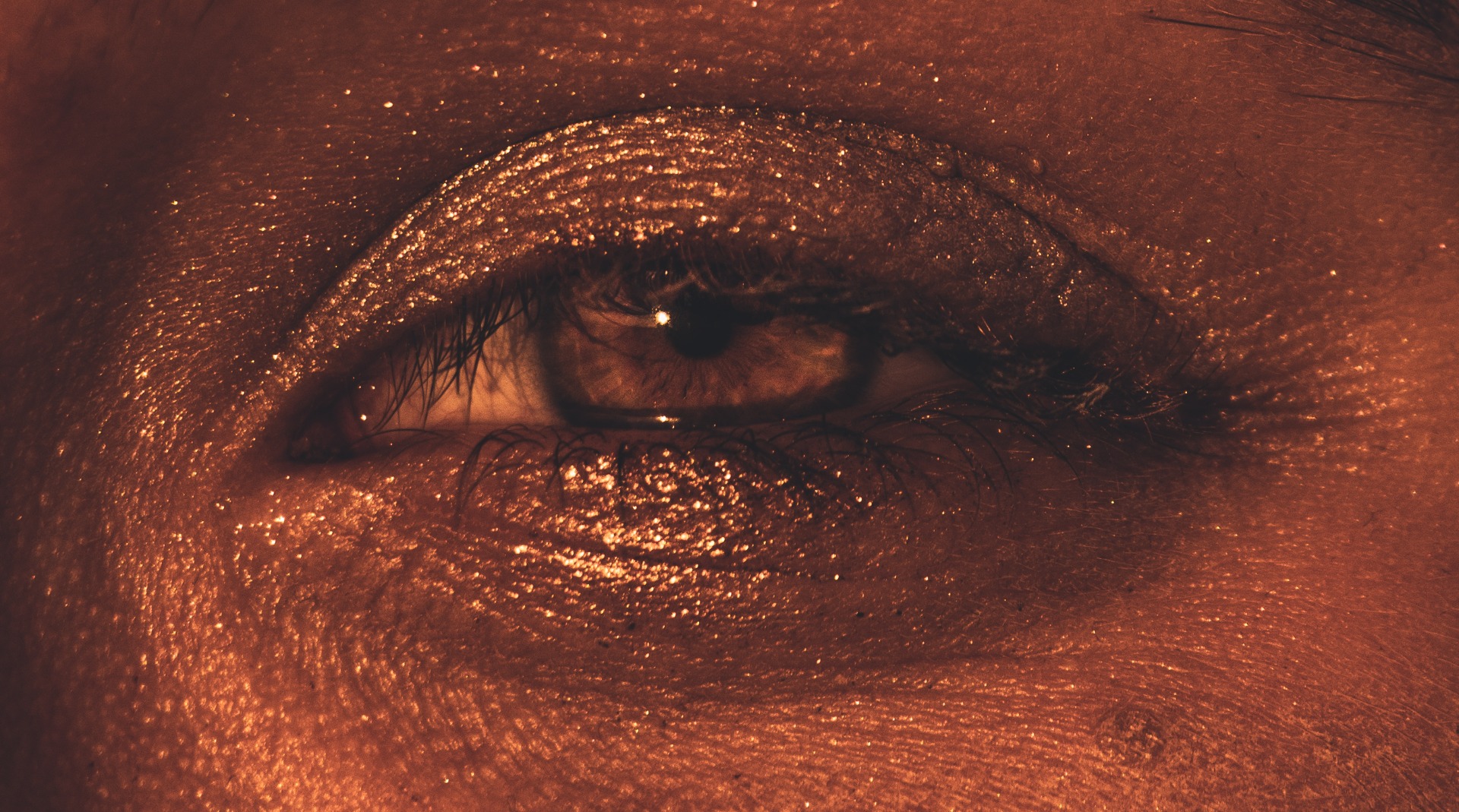 portréty :: david ullmann